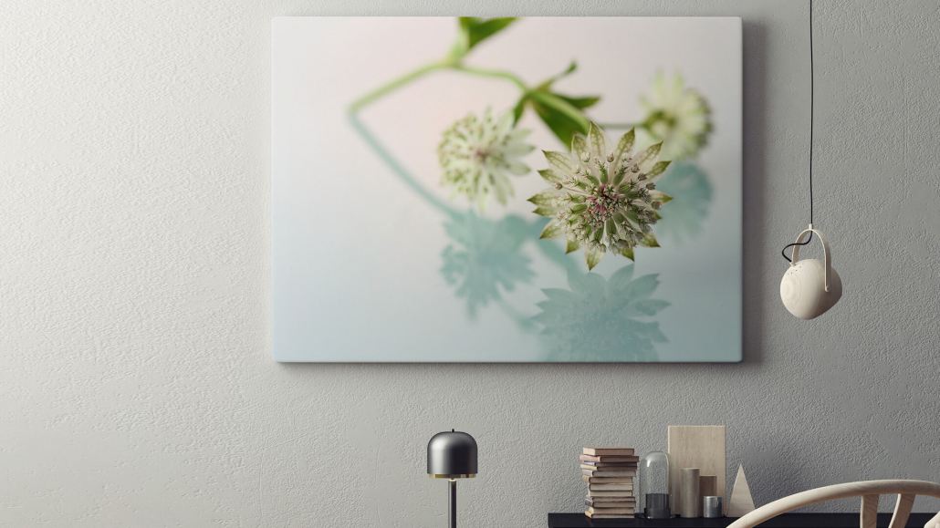 Canvas - Canon Production Printing