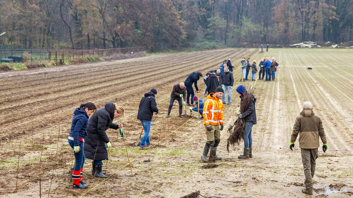 Home - Canon Production Printing
